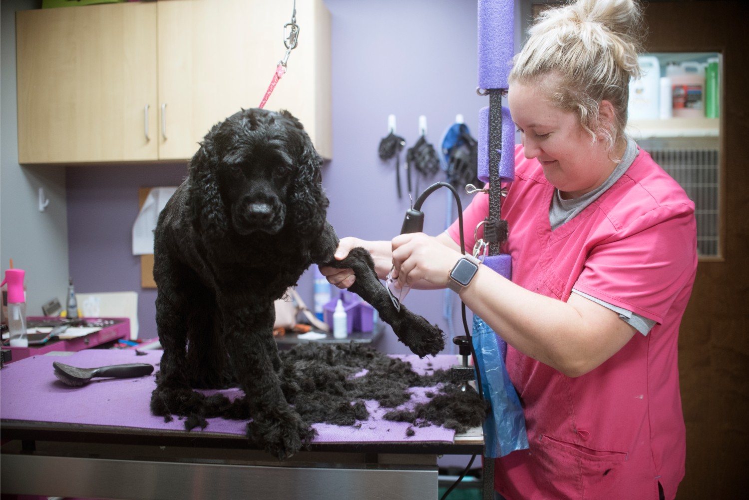 Pet Grooming Services | Barrington Square Animal Hospital